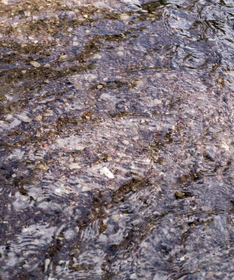Texture of Water in River with Sandy Bottom. Background, Nature. Stock ...