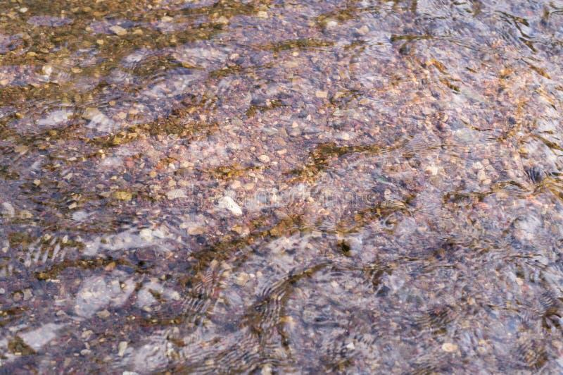 Texture of Water in River with Sandy Bottom. Background, Nature. Stock ...