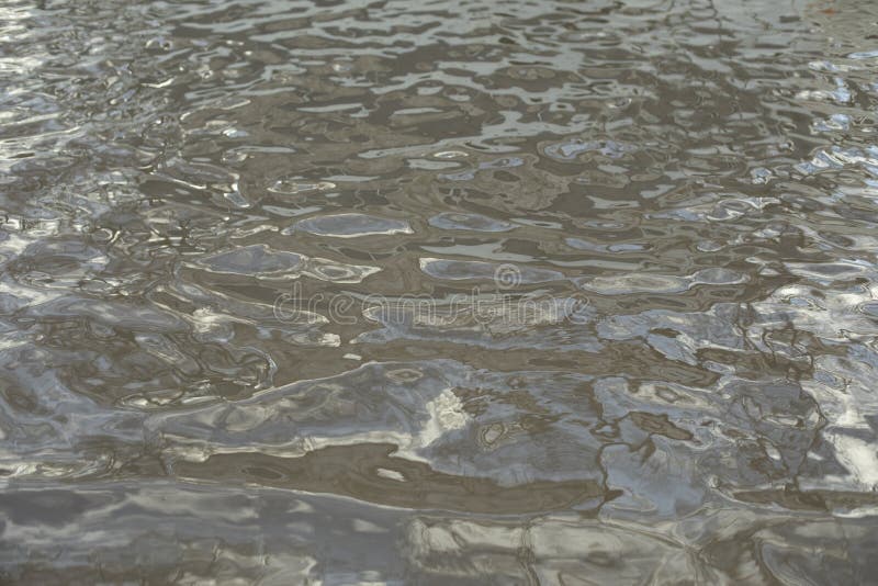 The Surface of a Puddle Disturbed by Ripples and Droplets Reflecting ...
