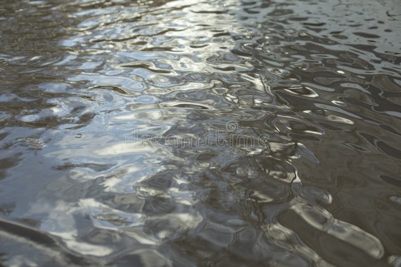 Texture of Water. Surface of Puddle Stock Photo - Image of color ...