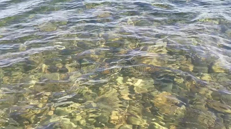 Texture of the Water Surface with Rocks Stock Video - Video of river ...
