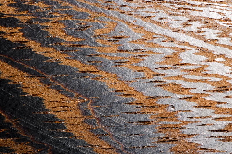 Texture of a Wenge Tree Shot on a Macro Lens 2018 Stock Image - Image ...