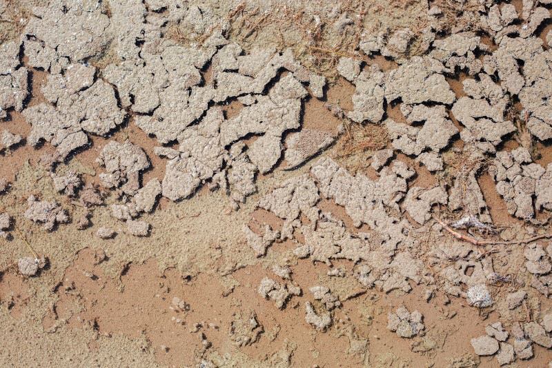 Texture of wet clay stock photo. Image of environment - 122981038