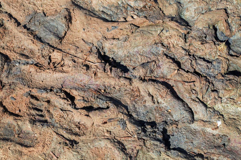 Texture of wet clay stock photo. Image of environment - 122981038