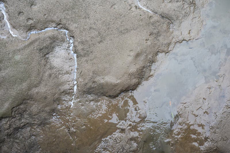 Texture of Wet Grey Mud of the River Scheldt, Berlare, Belgium Stock ...