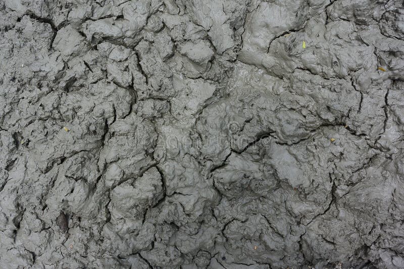 The Texture of Wet Mud, Ground Structure is Rich in Various Mine Stock ...