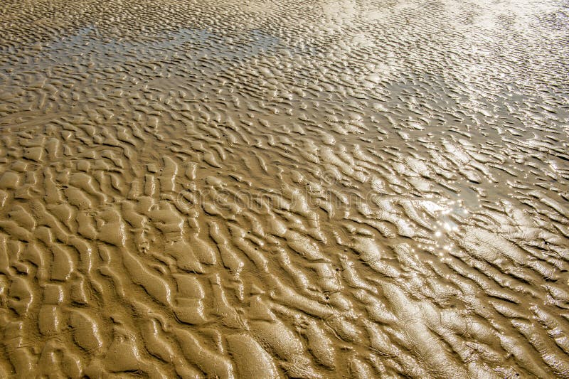 Texture of Wet Sea Sand with Patterns of Water. Stock Photo - Image of ...