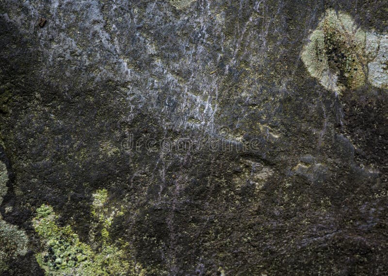 Texture of Wet Stone Covered with Moss Stock Photo - Image of plant ...