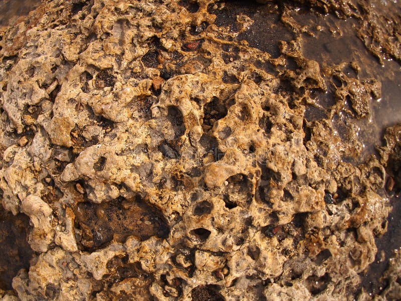 698 Wet Limestone Texture Stock Photos - Free & Royalty-Free Stock ...