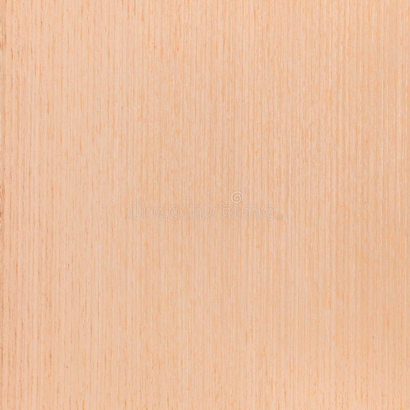 Beech Wooden Texture, Tree Veneer Background Stock Photo - Image of ...