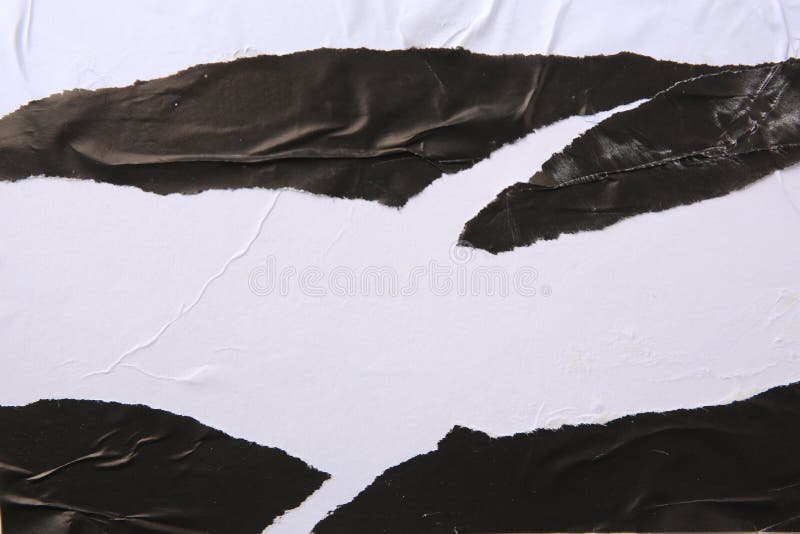 Texture of White and Black Ripped Paper Posters, Closeup Stock Image ...
