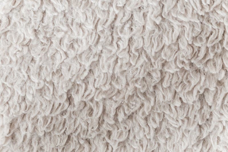 Texture of a white carpet stock image. Image of nylon - 47850269