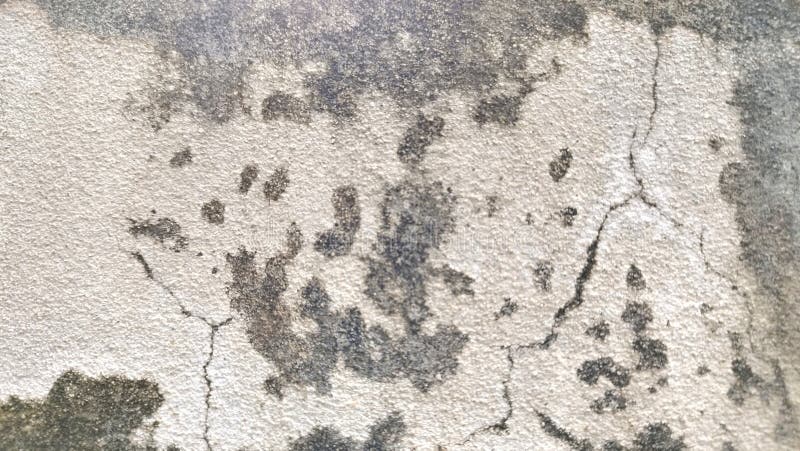 Texture White Cement Wall with Black Stain Stock Photo - Image of paper ...