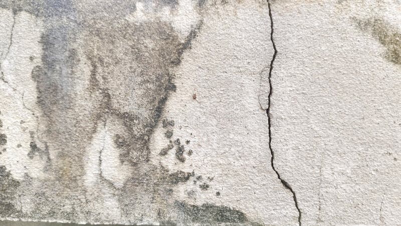 Texture White Cement Wall with Black Stain Stock Photo - Image of ...