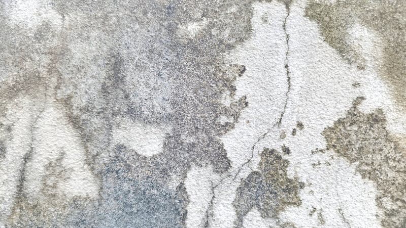 Texture White Cement Wall with Black Stain Stock Photo - Image of paper ...