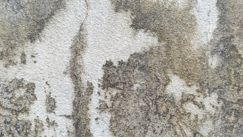 Texture White Cement Wall with Black Stain Stock Image - Image of line ...