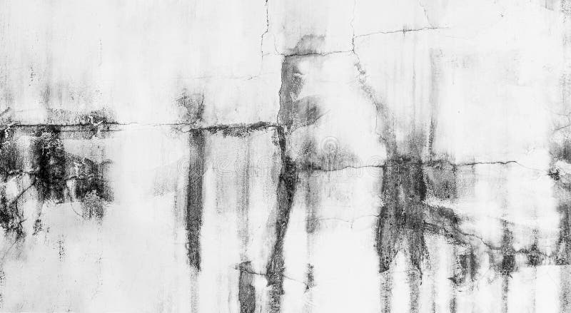 Texture White Cement Wall with Stain and Crack Background Stock Image ...