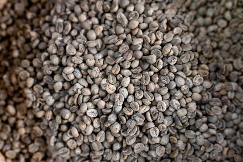Texture of White Coffee Beans Ready for Roasting Stock Photo - Image of ...