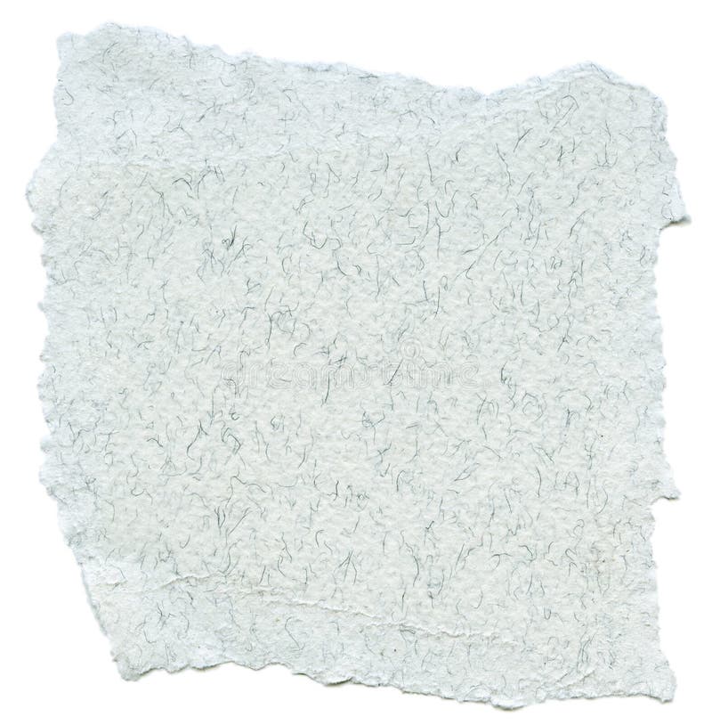 Fiber Paper Texture - White with Torn Edges Stock Image - Image of ...