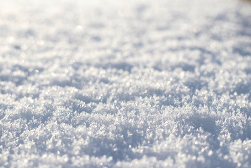 Texture of White Fluffy Snow in Sunny Weather, Snow with a Large ...