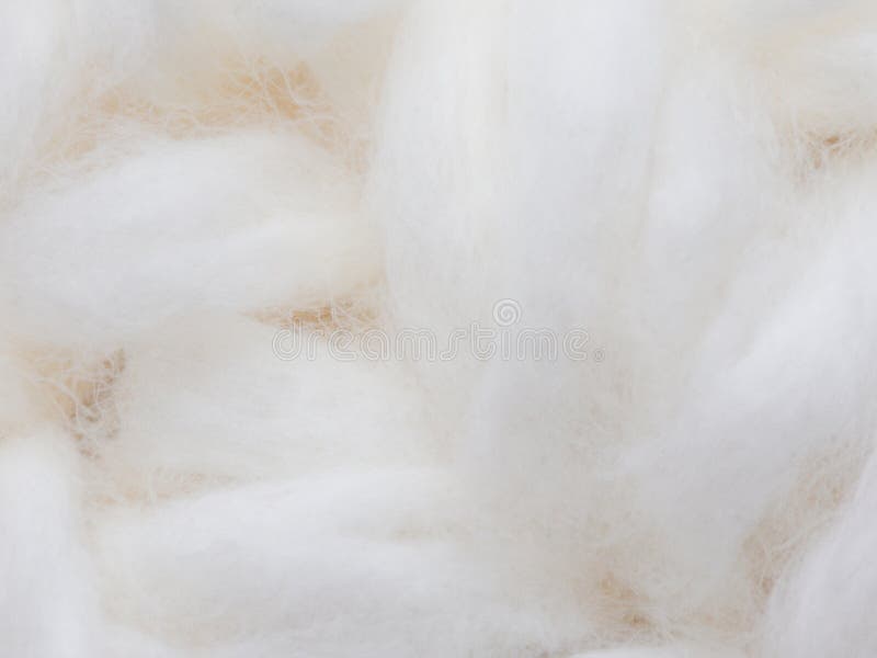 Texture of a White Fluffy Wool Background Stock Image - Image of ...