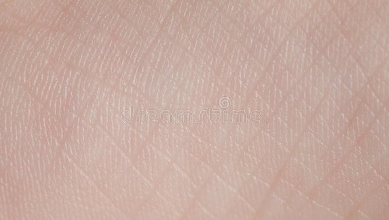 Texture of White Human Skin Stock Photo - Image of hygiene, lines ...
