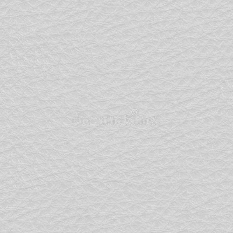 Texture White Leather. High Resolution Texture Stock Image - Image of ...