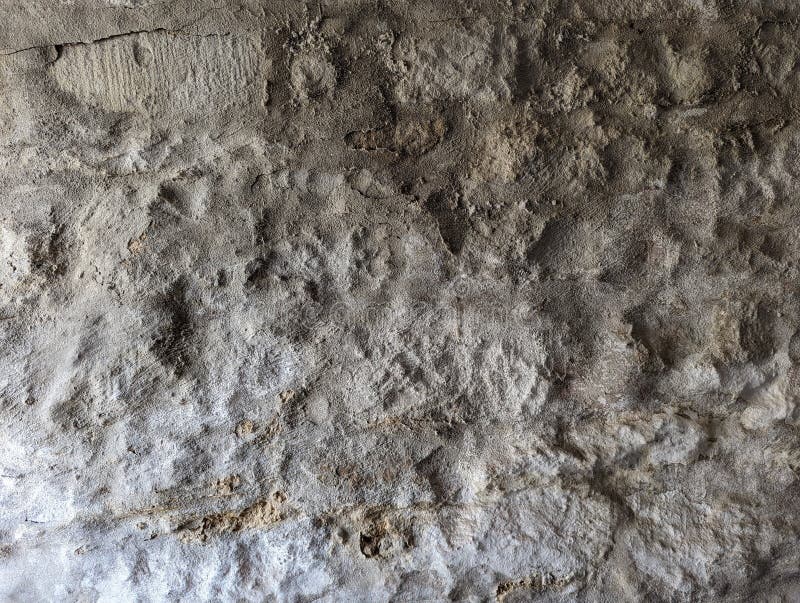 Texture of the White Limestone Wall Stock Photo - Image of limestone ...