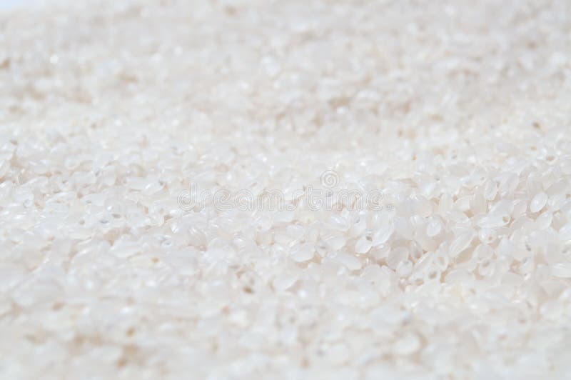 Texture of White Rice for Cooking Sushi Stock Image - Image of risotto ...