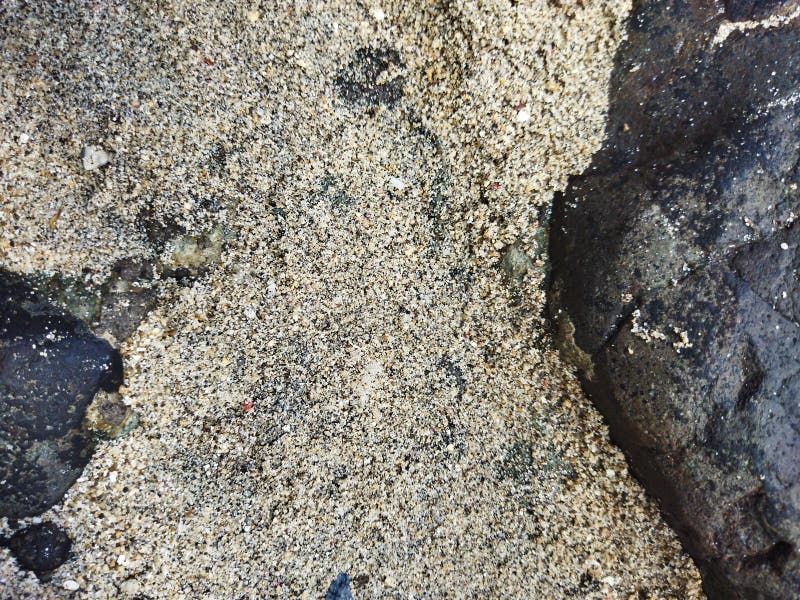 Texture of White Sand and Rocks on the Beach Stock Photo - Image of ...