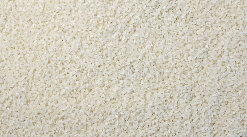 Texture of White Uncooked Rice. Rice Background. Short Grains of White ...