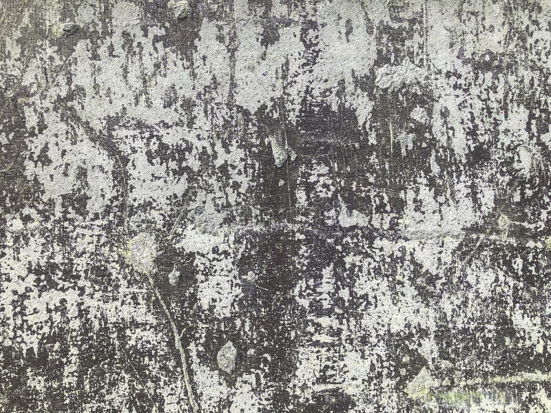 The Texture of the White Whitewash Background.. Abstract Wooden ...