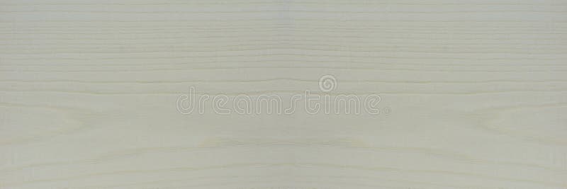 Texture of White Wood. Large Textured Ash Wood, Painted White. White ...