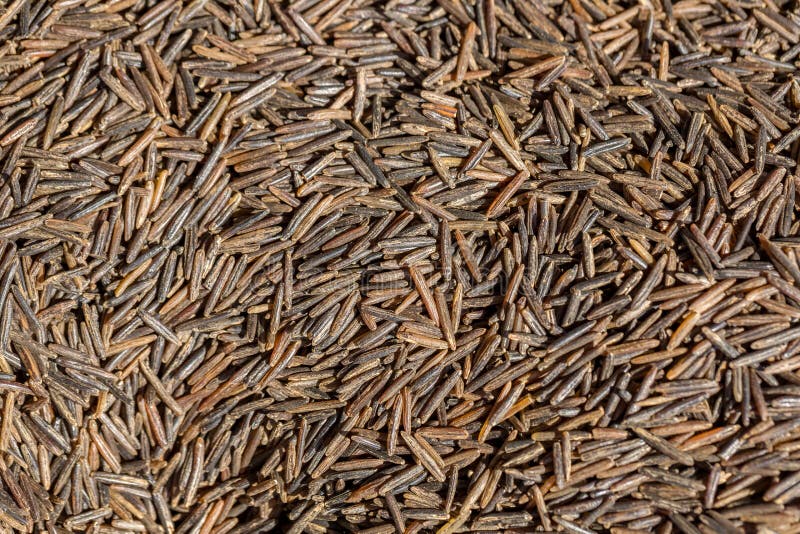 Texture of wild brown rice stock image. Image of rice - 127327401