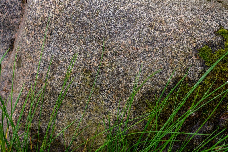 Texture of Wild Natural Stone Stock Image - Image of abstract, pattern ...