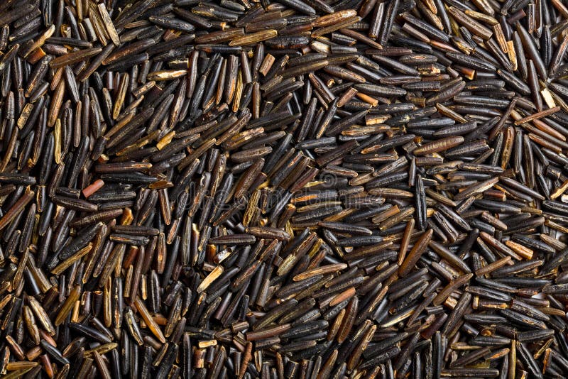 Texture of wild rice stock image. Image of healthy, seed - 35063985