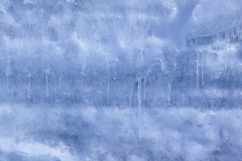 Zastavkin - Photographer profile