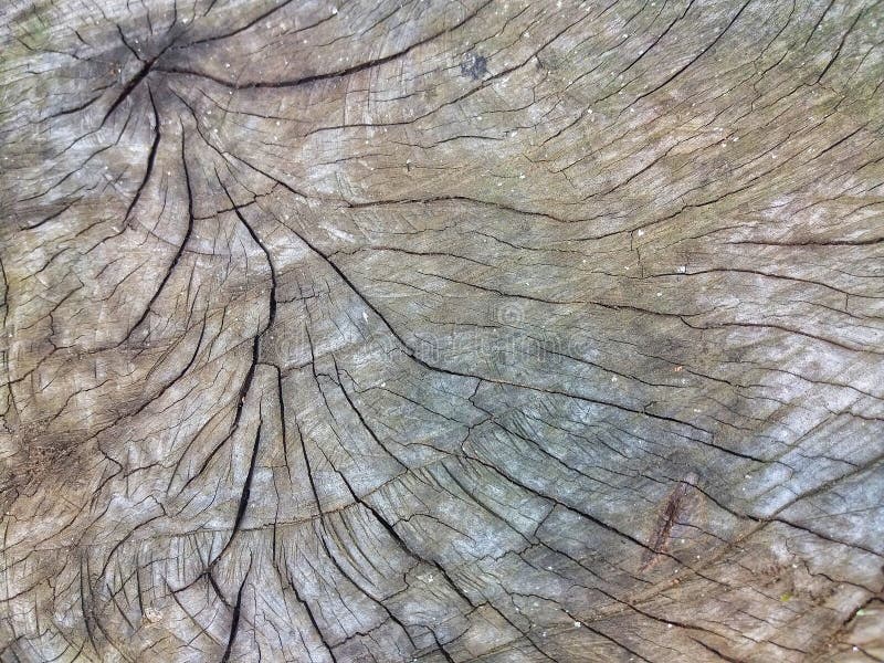 Texture stock image. Image of background, wood, teks - 115579131