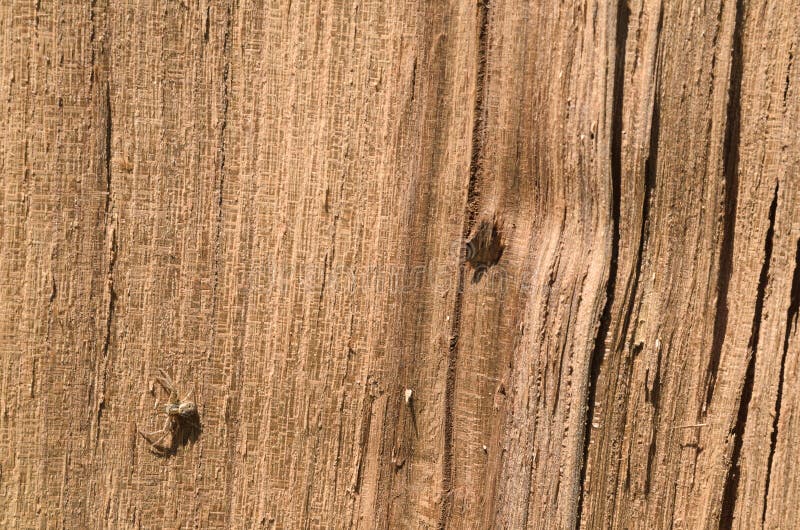 Texture Wood Board Background Stock Photo - Image of lumber, fence ...