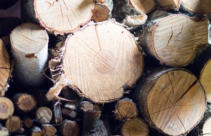 Texture of Wood Chopped Decks Stock Photo - Image of sunlight, types ...