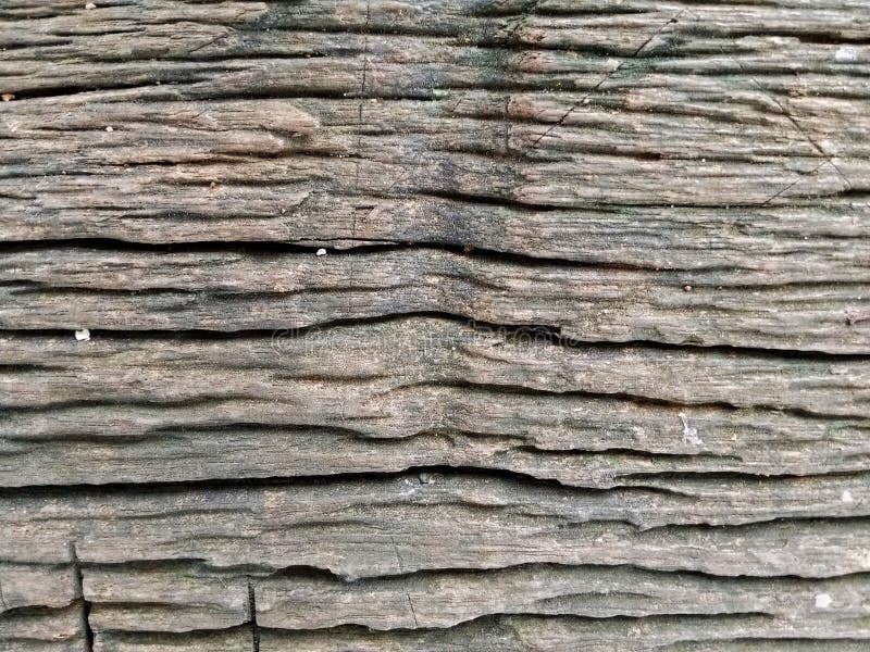 The Texture of the Wood Forms the Lines that Form the Motifs so ...