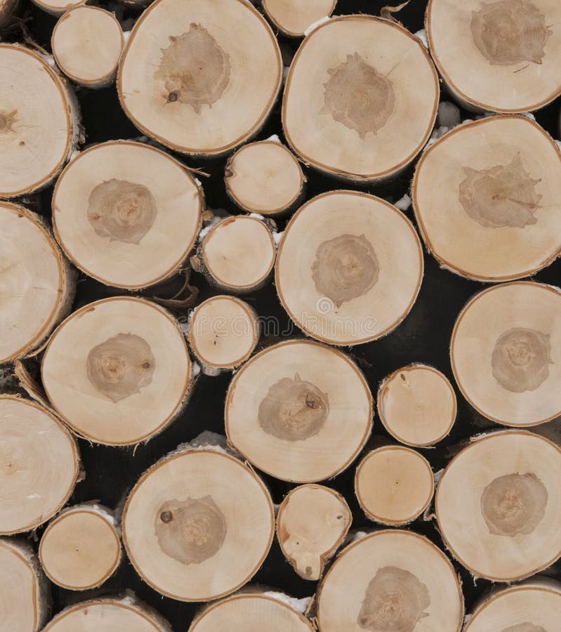 Pile Cut Wood Stump Log Texture Used As Background Stock Photos - Free ...