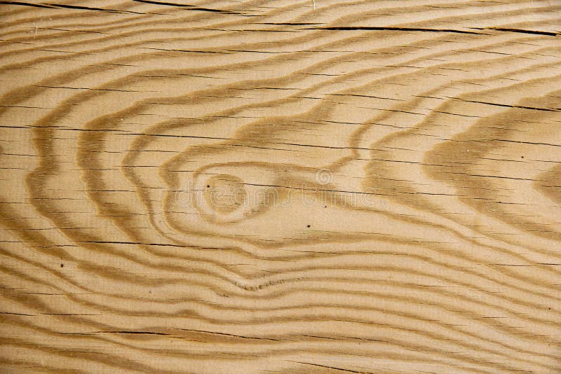 Texture of Wood with Many Concentric Rings Stock Image - Image of ...