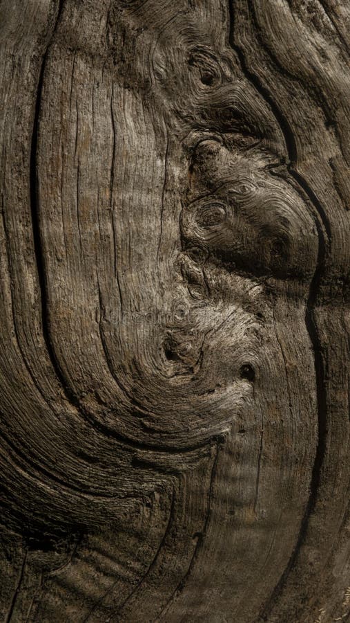 Texture Wood with Natural Pattern Stock Image - Image of closeup ...