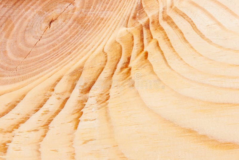 Texture of Wood Natural Sliced Pine. Texture of Wood, Low Relief Stock ...