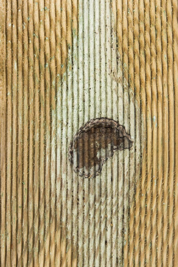 Wood and Node Texture Background Stock Image - Image of texture, brown ...