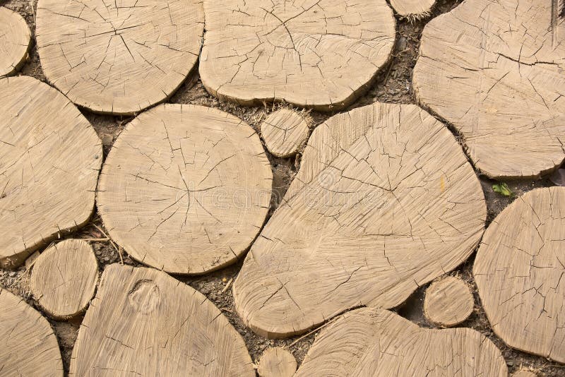 Wood pathway stock photo. Image of texture, cracked, surface - 21036026