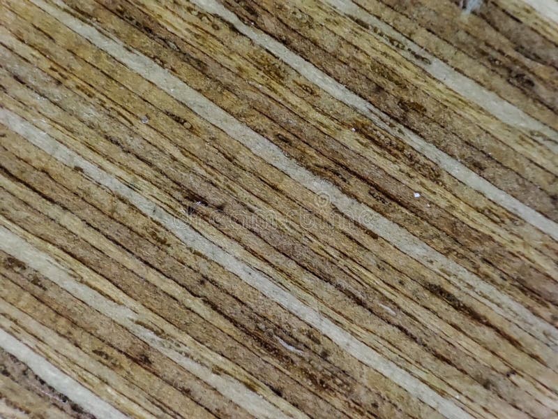 Texture of Wood Plank Layer Stock Image - Image of soil, tile: 225606689