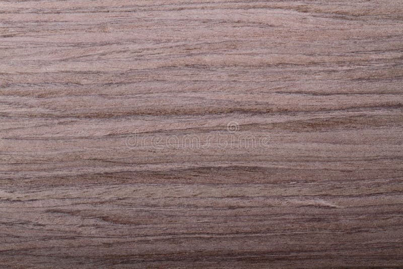 Texture of wood veneer stock photo. Image of design, natural - 22079360
