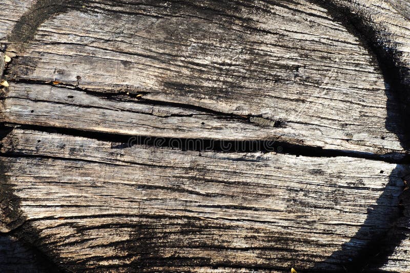 Texture stock photo. Image of dark, tree, pine, wall - 64564418